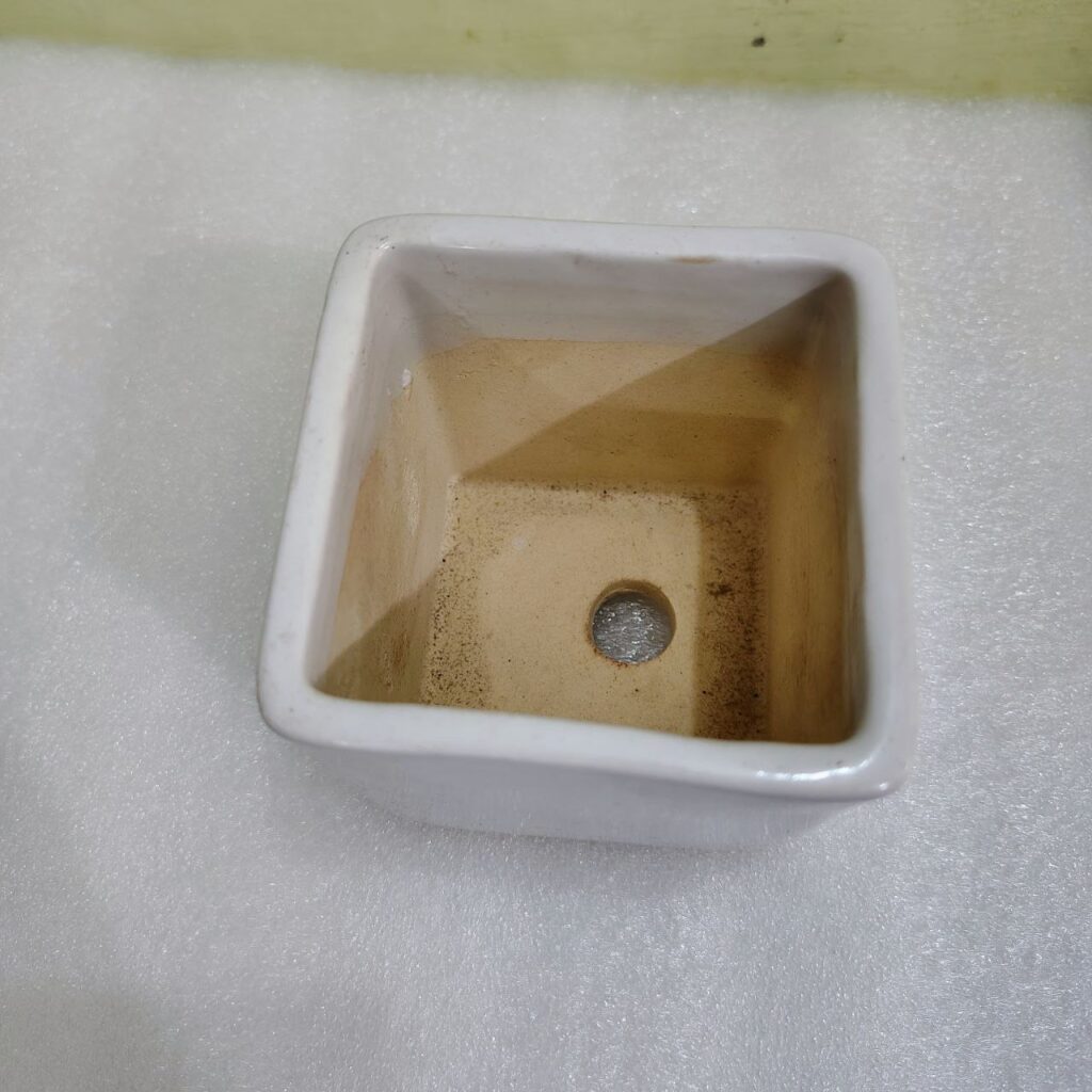 White Square Ceramic Planter | Buy Online India